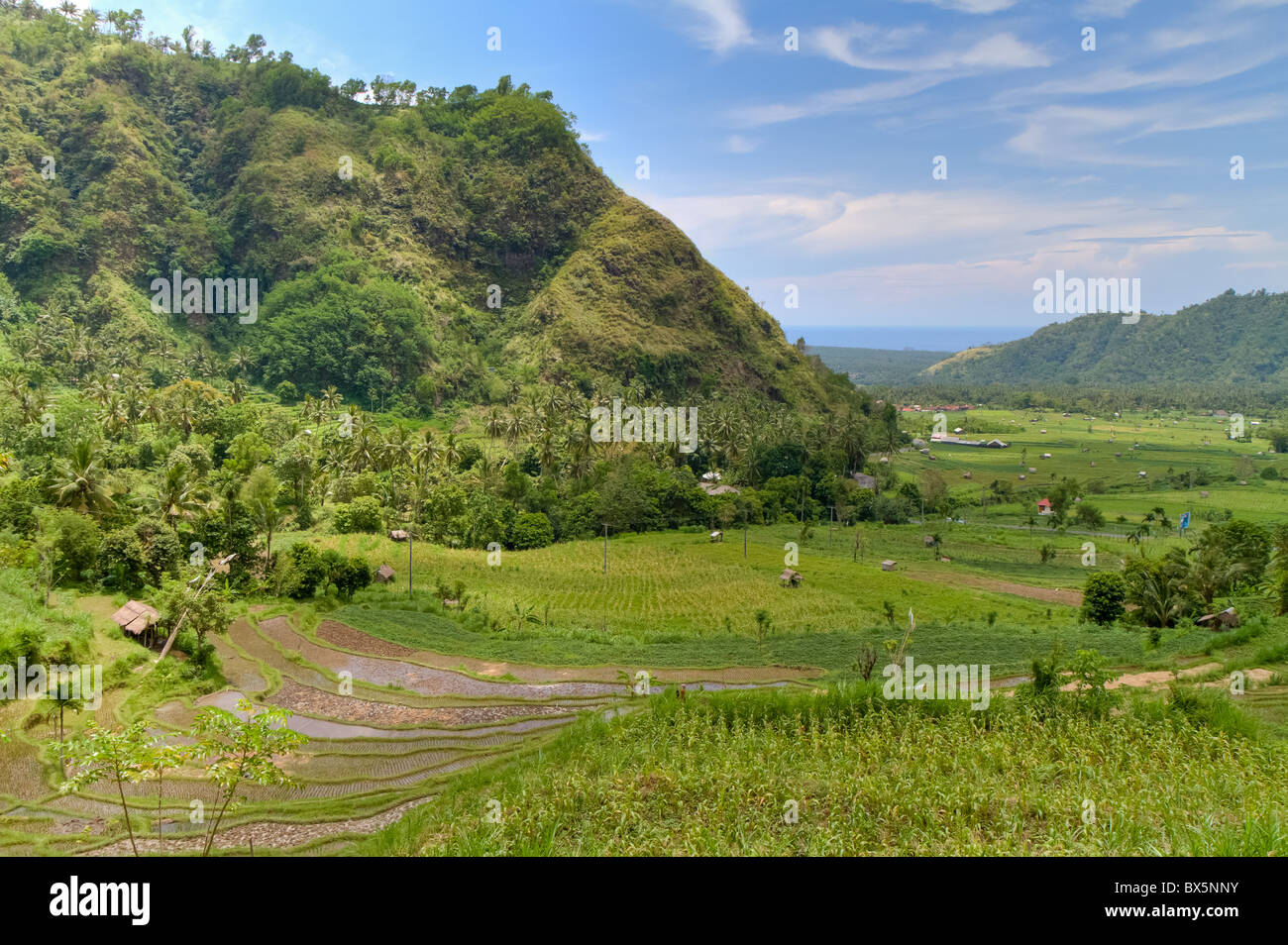 typical terrace rice fields of Bali, Indonesia Stock Photo - Alamy