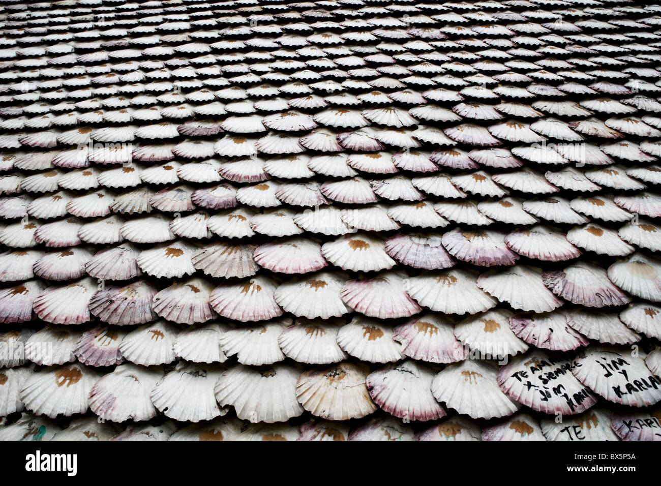Scallop shells wall hi-res stock photography and images - Alamy