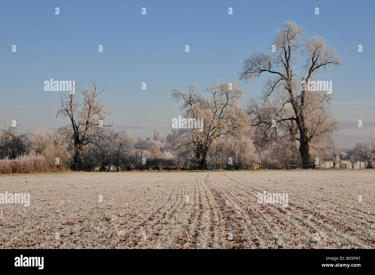 Hoar frost covered trees and fields near Wigginton, Oxfordshire Stock ...