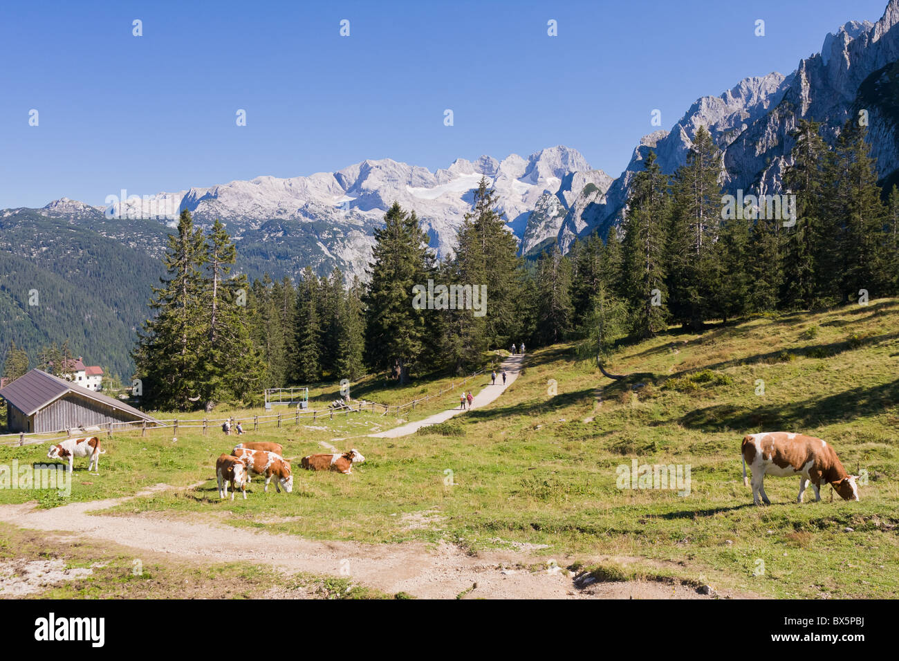 High alps hi-res stock photography and images - Alamy