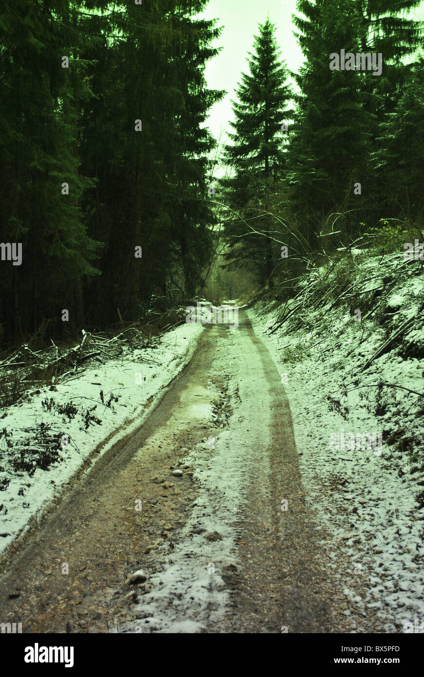 dirt road with a light layer of snow Stock Photo - Alamy