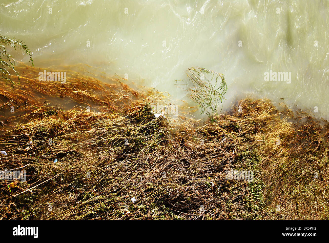 texture river branch Stock Photo - Alamy