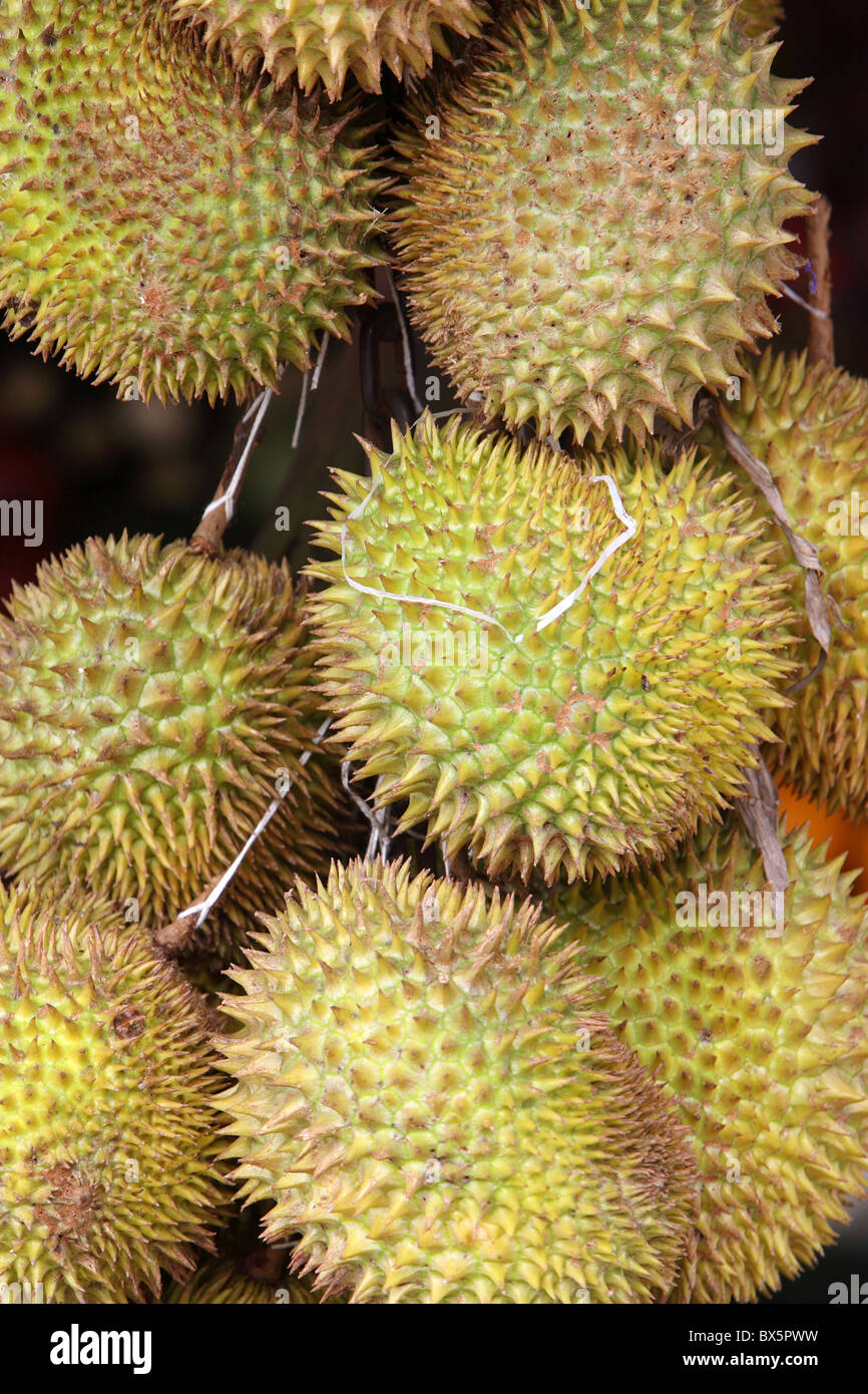 Guanabana hi-res stock photography and images - Alamy