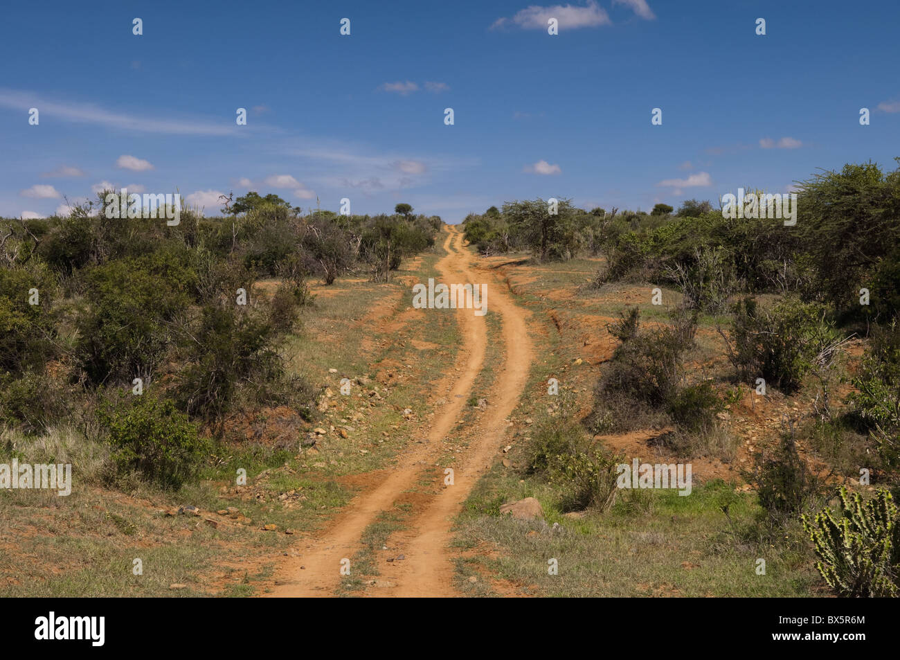 Loisaba Wilderness Conservancy, Laikipia, Kenya, East Africa, Africa ...