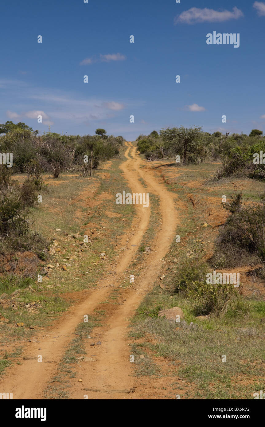 Loisaba Wilderness Conservancy, Laikipia, Kenya, East Africa, Africa ...