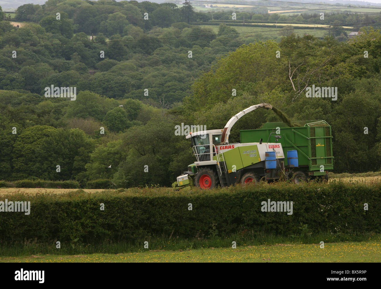 Farming in Devon Stock Photo - Alamy