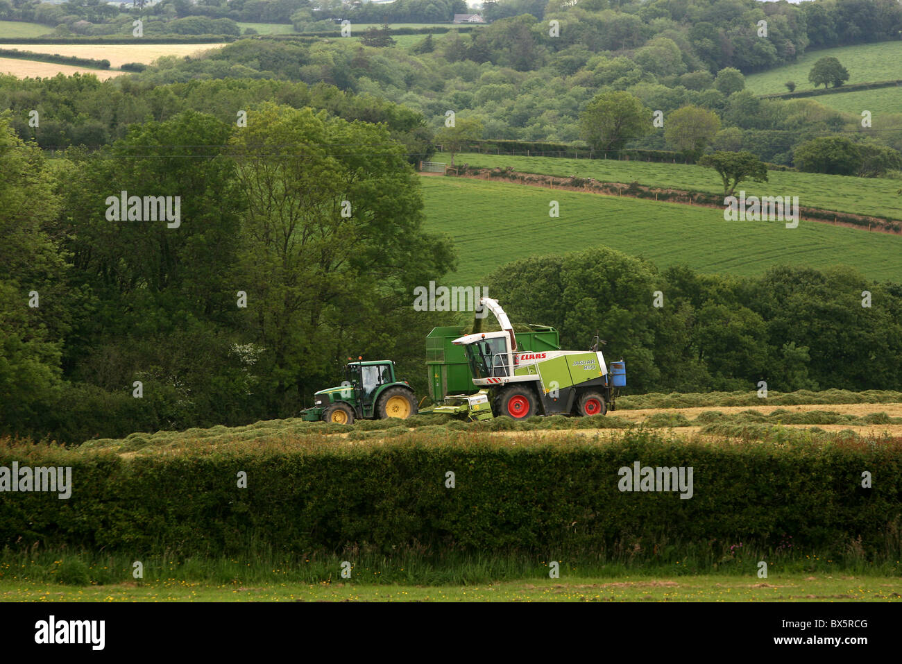 Farming in the Devon countryside Stock Photo - Alamy