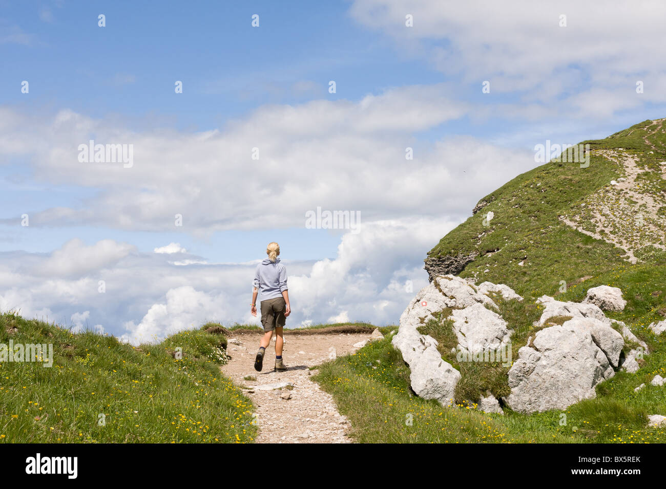 Alps path hi-res stock photography and images - Alamy