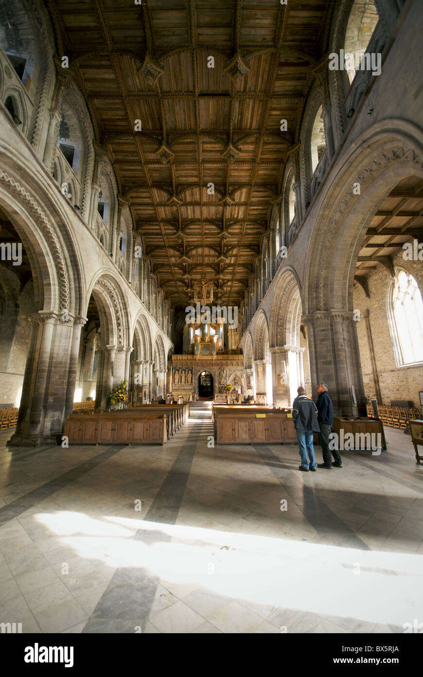 St David's Cathedral Pembrokeshire Wales UK Interior Stock Photo - Alamy