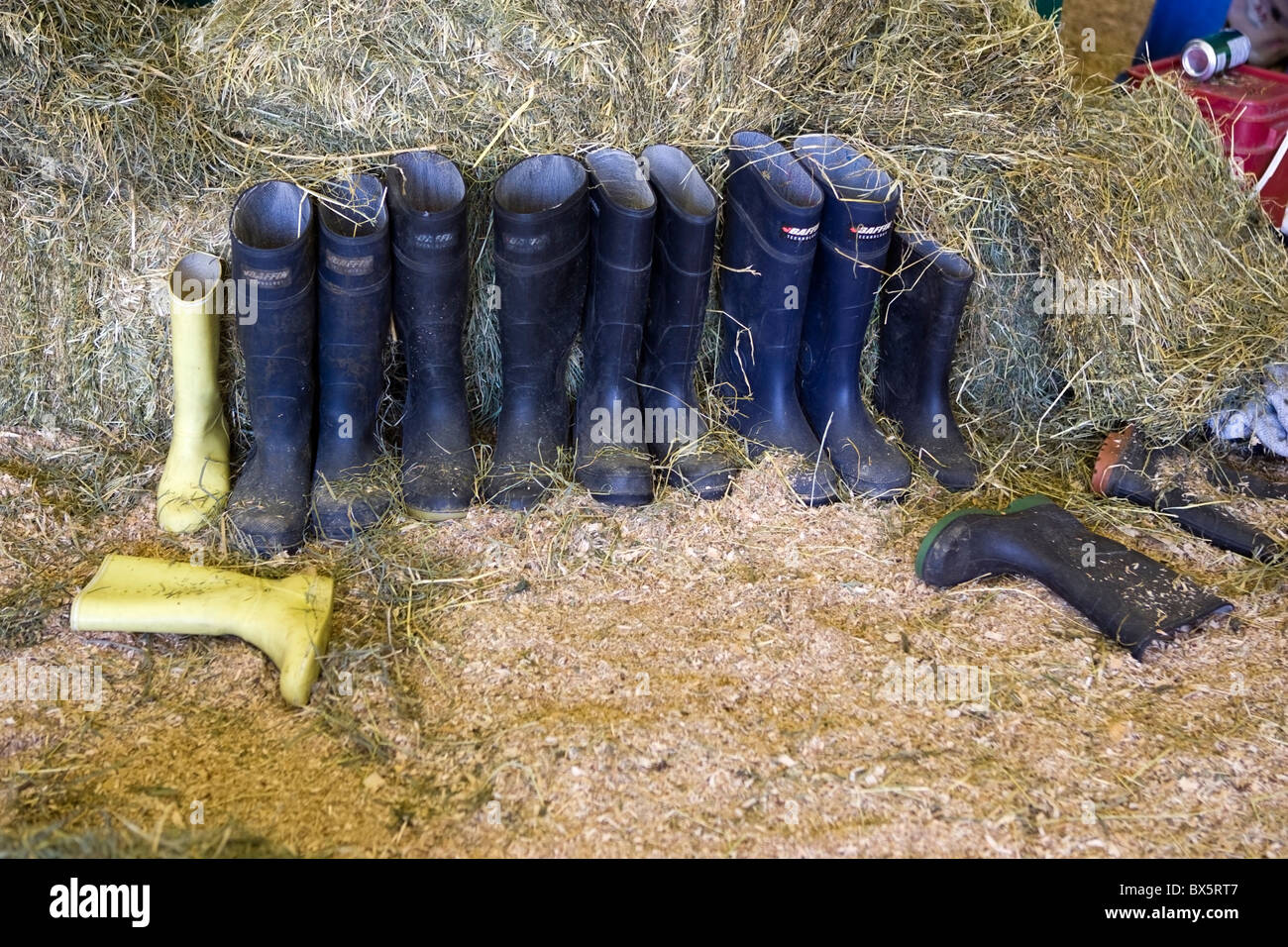 Boots in barn Stock Photo - Alamy