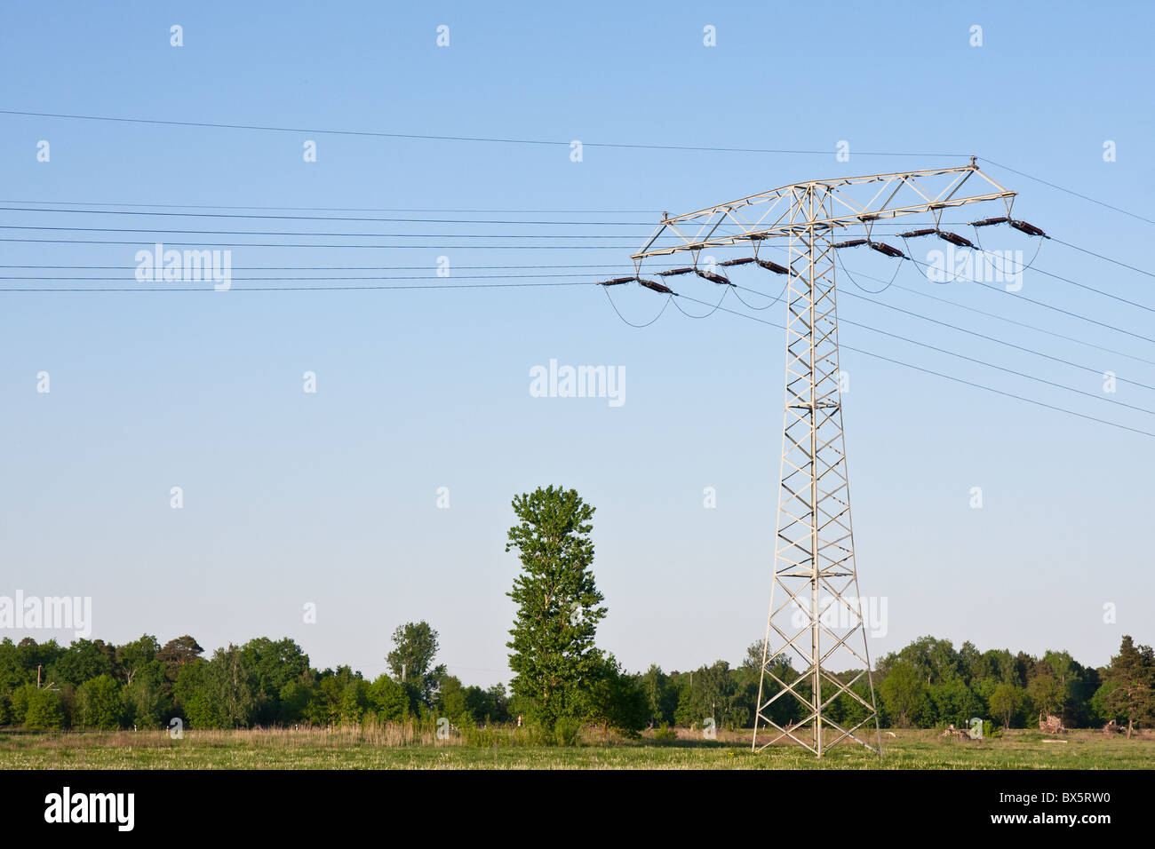 electrical powerlines at the dusk Stock Photo - Alamy
