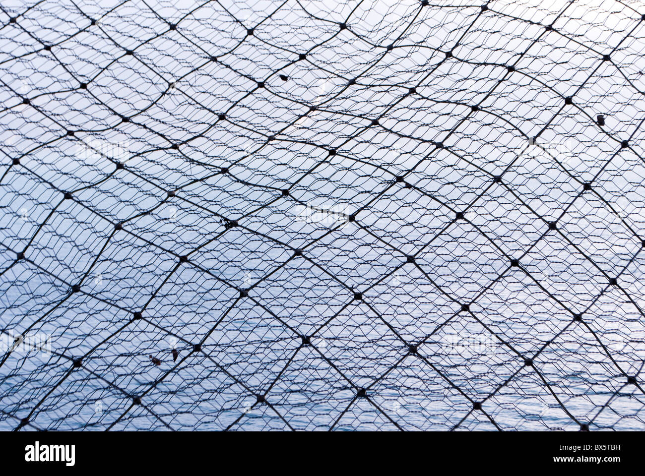 steel wire mesh texture in the background blue sky Stock Photo - Alamy