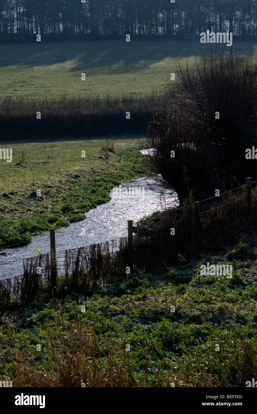 Damp meadows hi-res stock photography and images - Alamy
