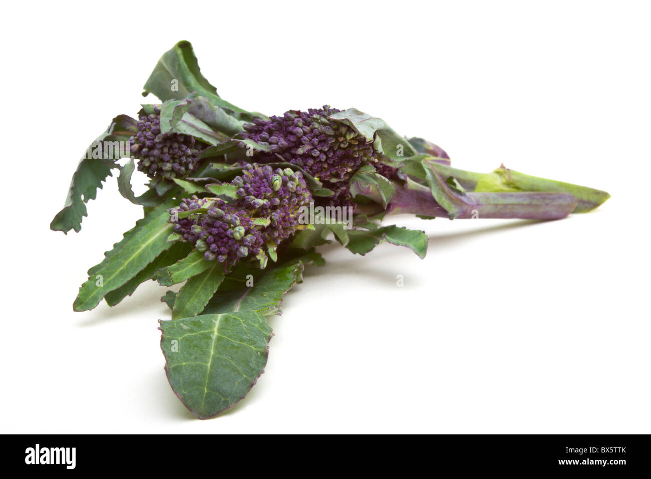 Purple sprouting brocolli hi-res stock photography and images - Alamy
