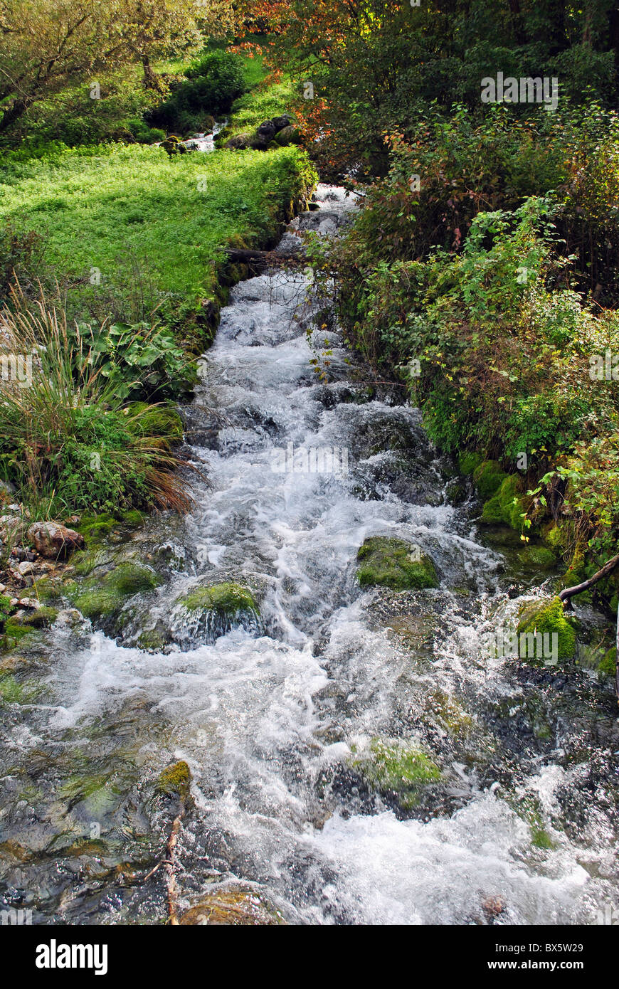 freshwater stream with small waterfall Stock Photo - Alamy