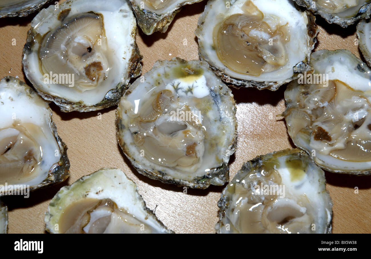 Old oysters hi-res stock photography and images - Alamy