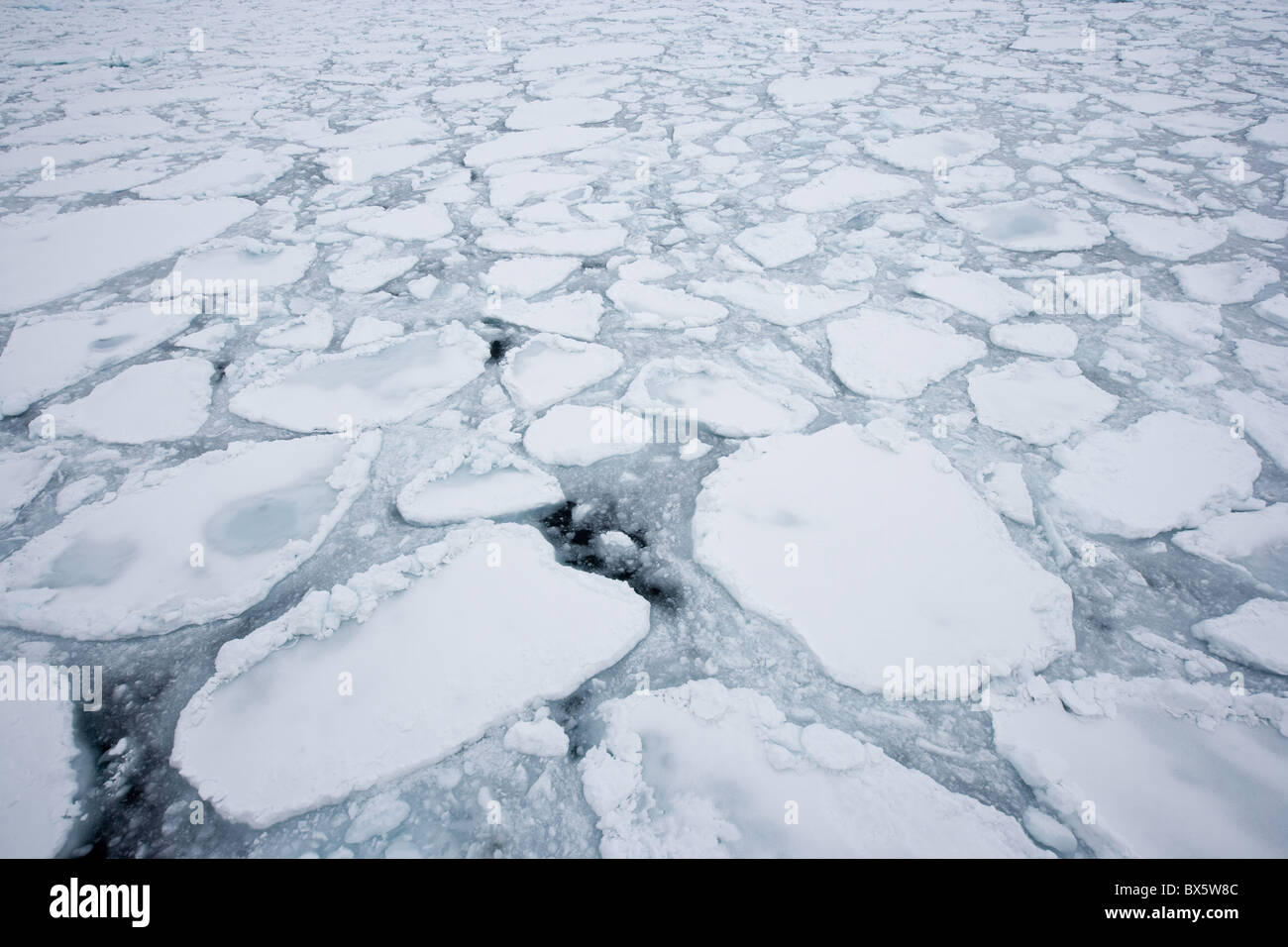 Ice floe, drift ice, Greenland, Arctic, Polar Regions Stock Photo - Alamy