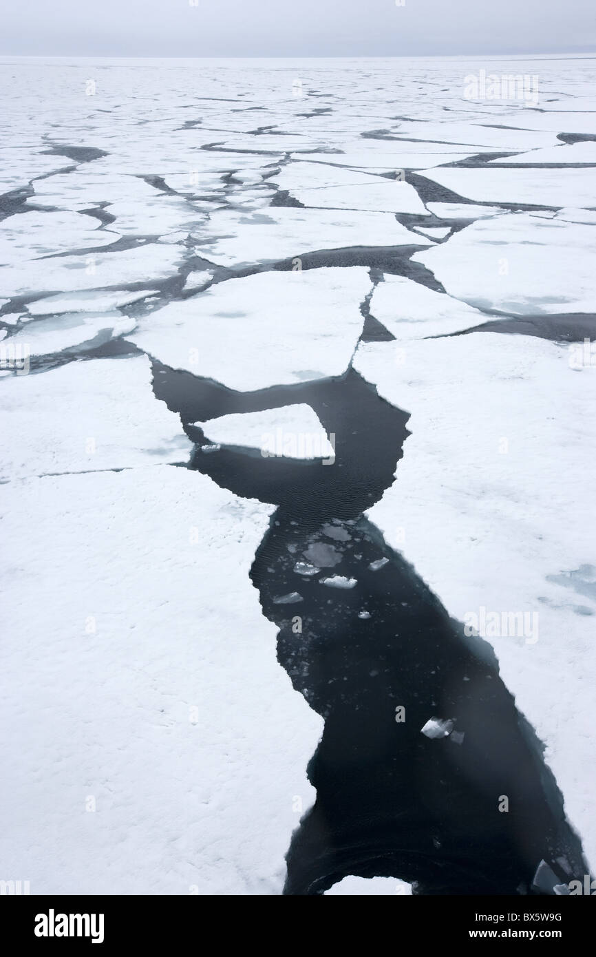 Ice floe, drift ice, Greenland, Arctic, Polar Regions Stock Photo - Alamy