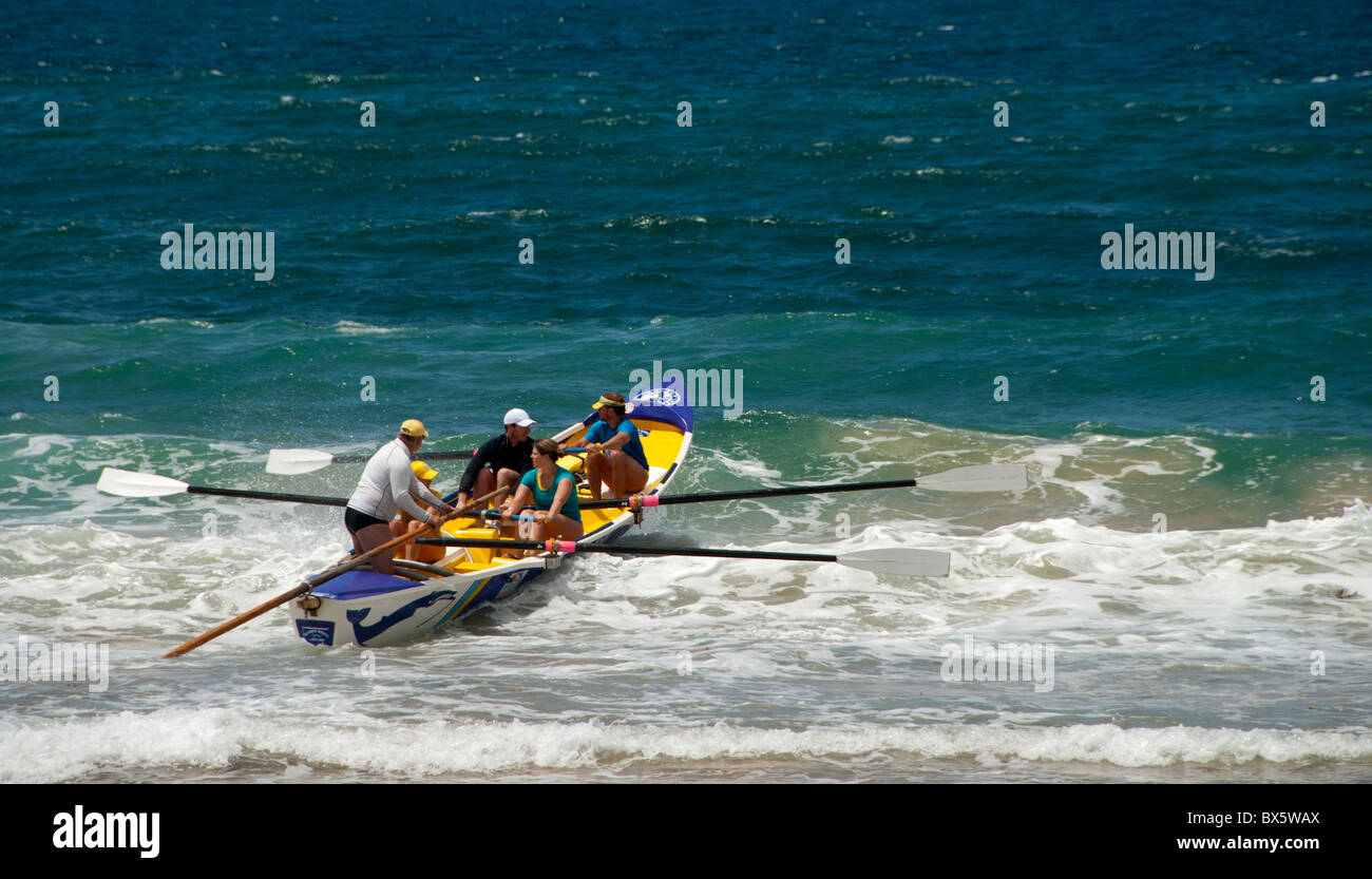 Surf racing near Sydney Stock Photo - Alamy