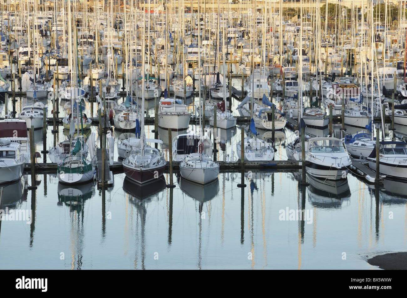 Westhaven, Waitemata Harbour, Auckland, North Island, New Zealand ...