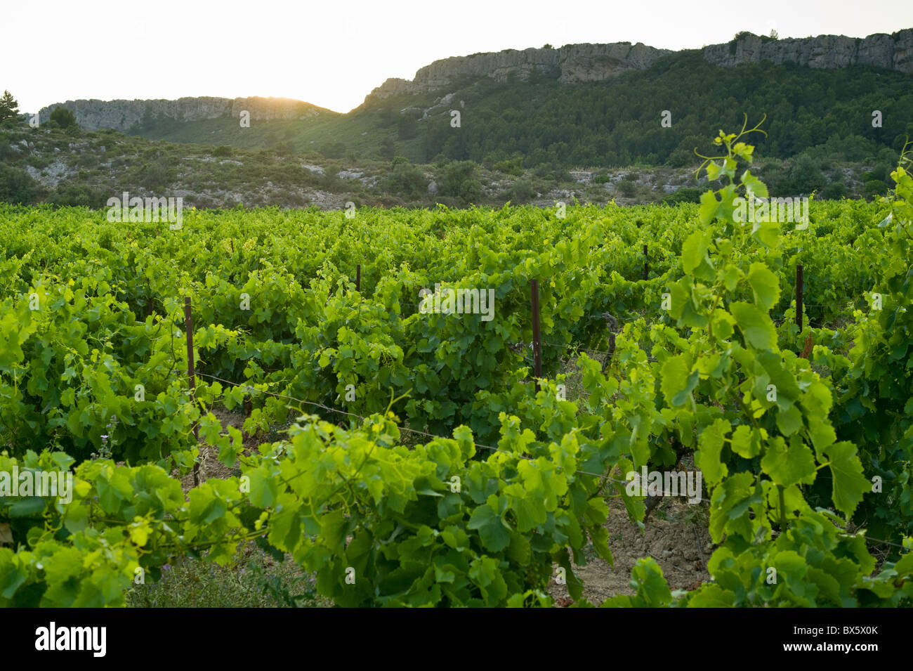 La clape hi-res stock photography and images - Alamy