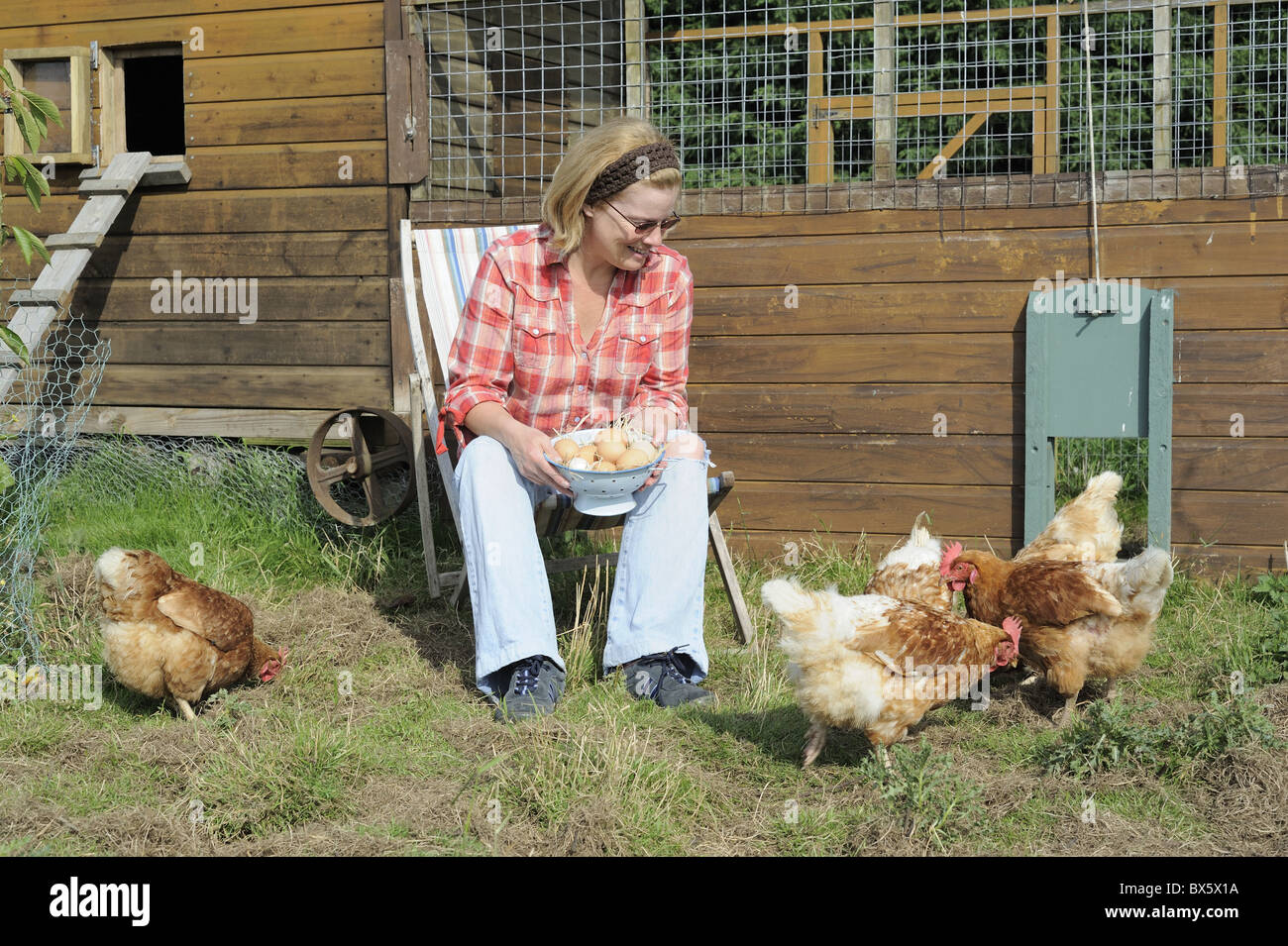 Rescued battery hens hi-res stock photography and images - Alamy