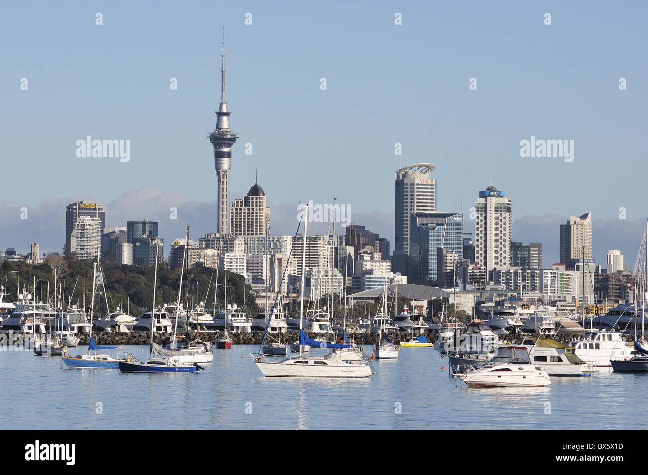 Okahu Bay and skyline, Auckland, North Island, New Zealand, Pacific ...