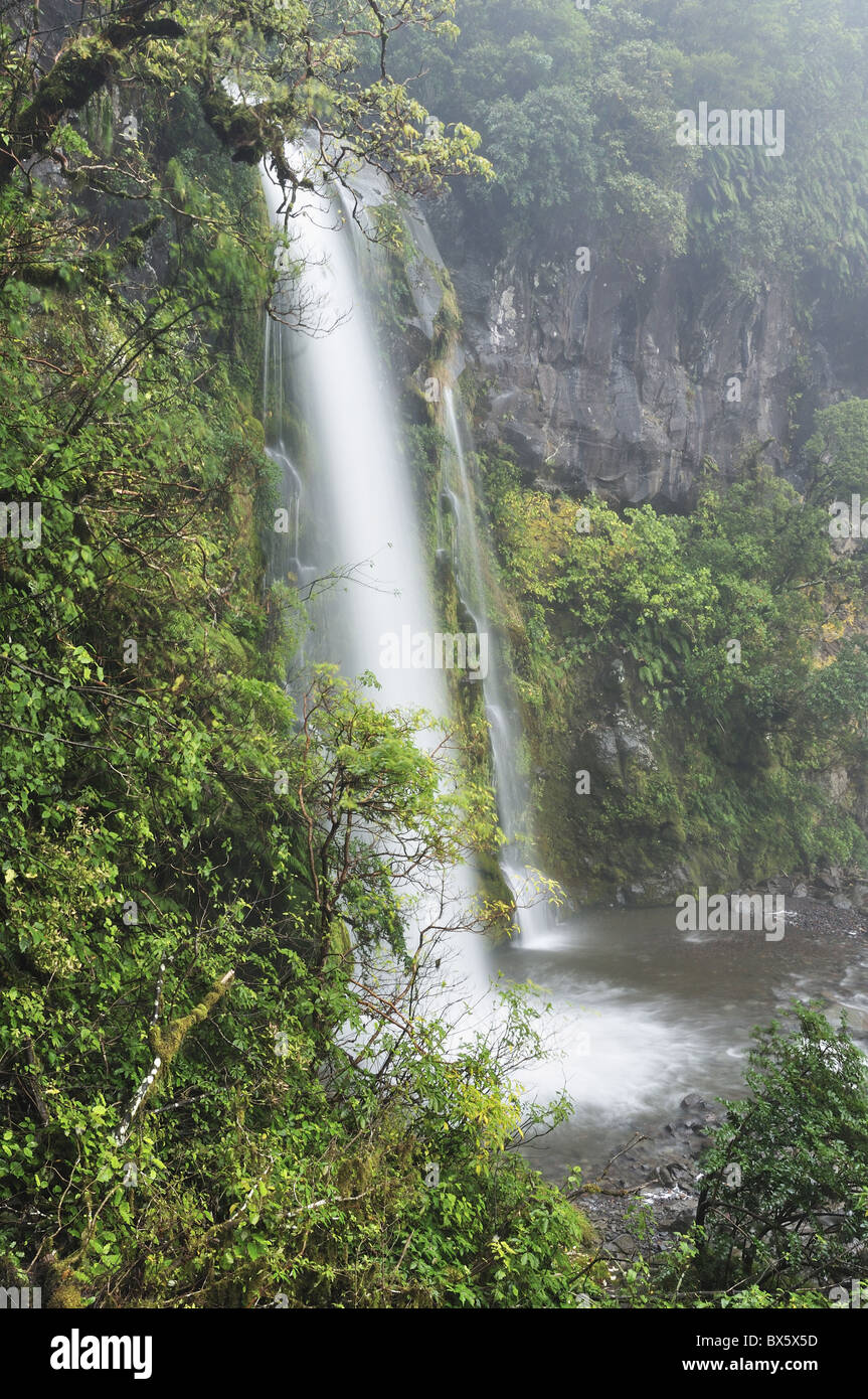 Dawson Falls, Mount Taranaki National Park (Mount Egmont National Park ...