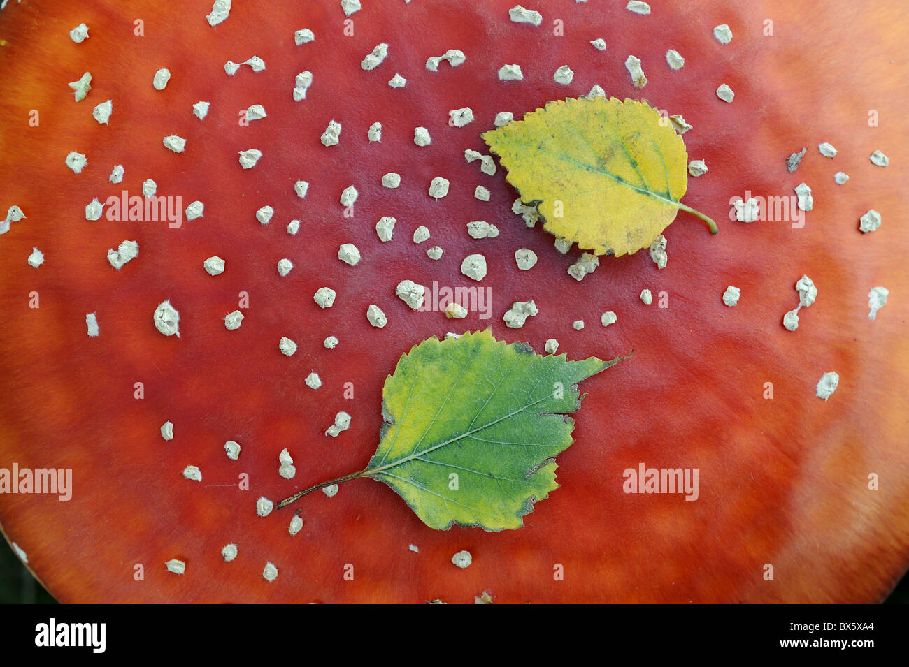 Fallen Stool High Resolution Stock Photography and Images - Alamy
