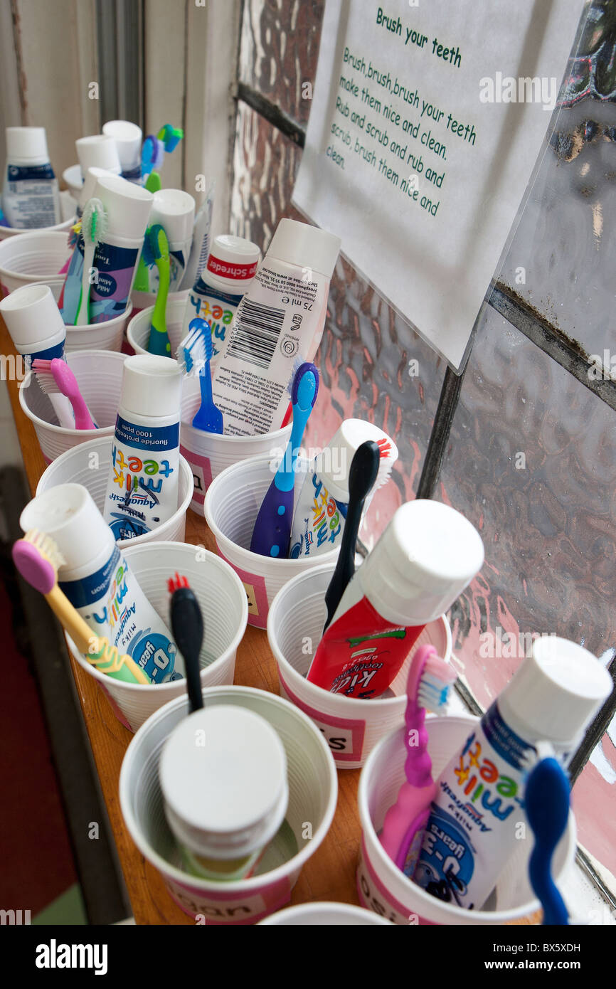 Children's tooth brushes and toothpaste in pots at a Nursery Stock ...