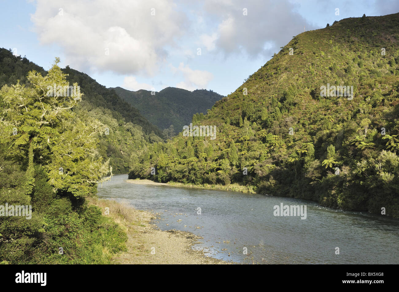 Waioeka gorge new zealand hi-res stock photography and images - Alamy