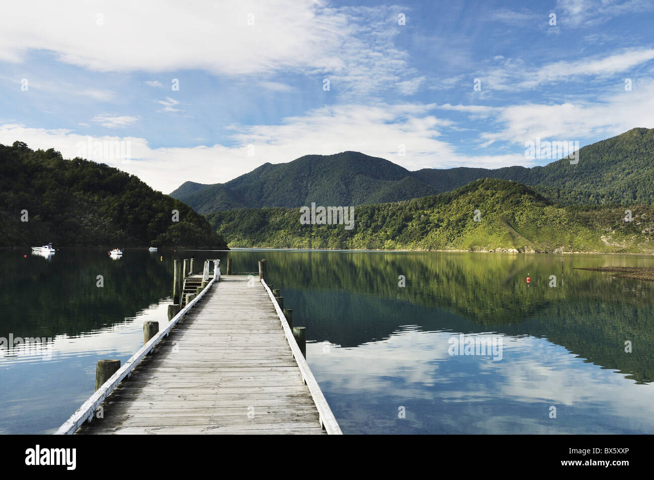 Penzance Bay, Tennyson Inlet, Marlborough Sounds, Marlborough, South ...