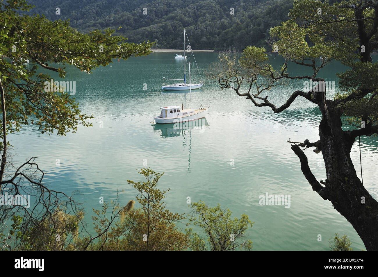 Duncan Bay, Tennyson Inlet, Marlborough Sounds, Marlborough, South ...