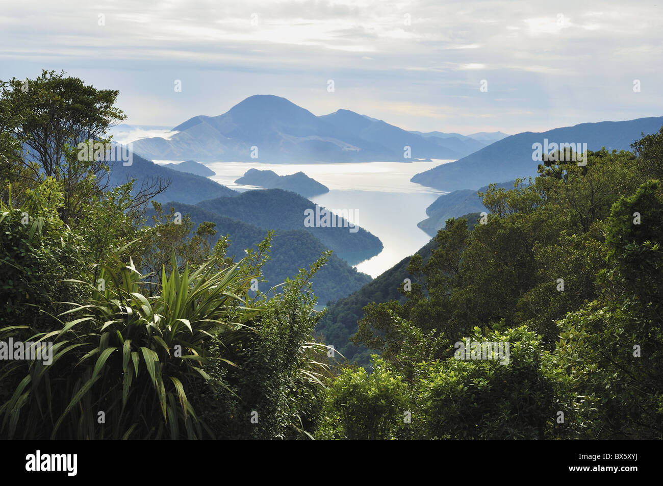 Tennyson inlet new zealand hi-res stock photography and images - Alamy