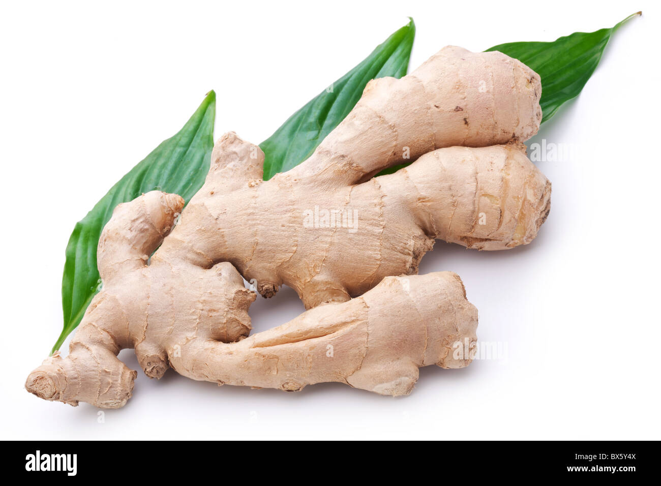 Fresh ginger with leaves isolated on white background Stock Photo - Alamy