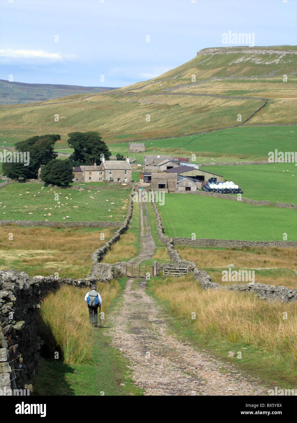 Rambler walking along a path on the Yorkshire Dales Stock Photo - Alamy