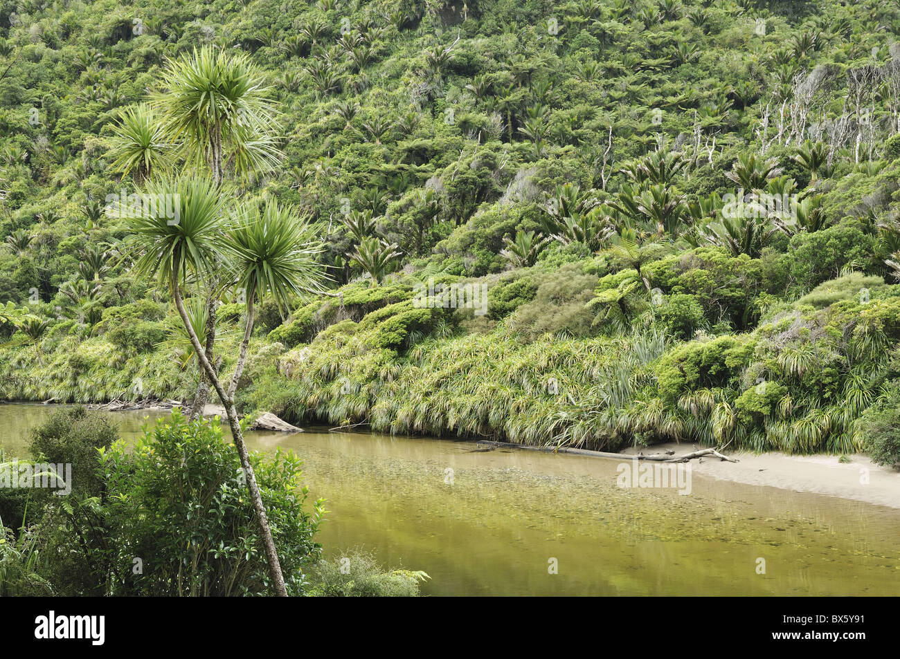 Pororari river hi-res stock photography and images - Alamy
