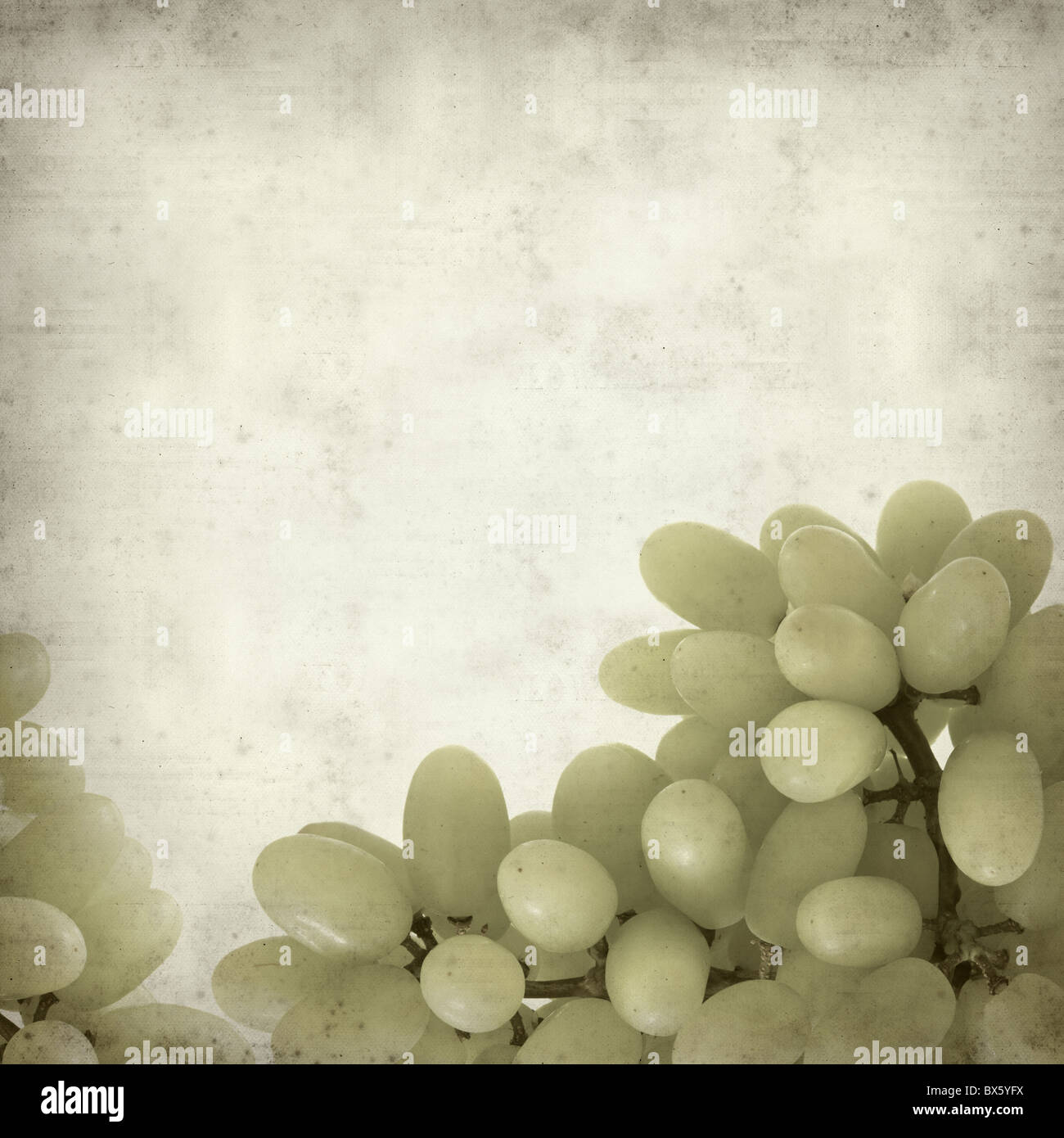 textured old paper background with bunch of green grapes Stock Photo ...