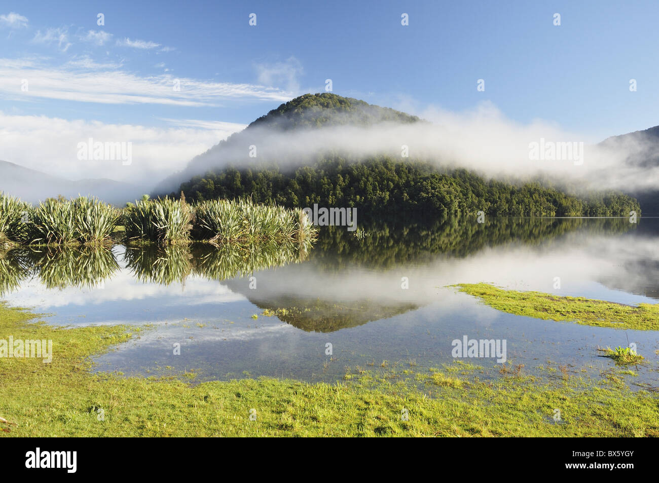 Lake Paringa, West Coast, South Island, New Zealand, Pacific Stock ...
