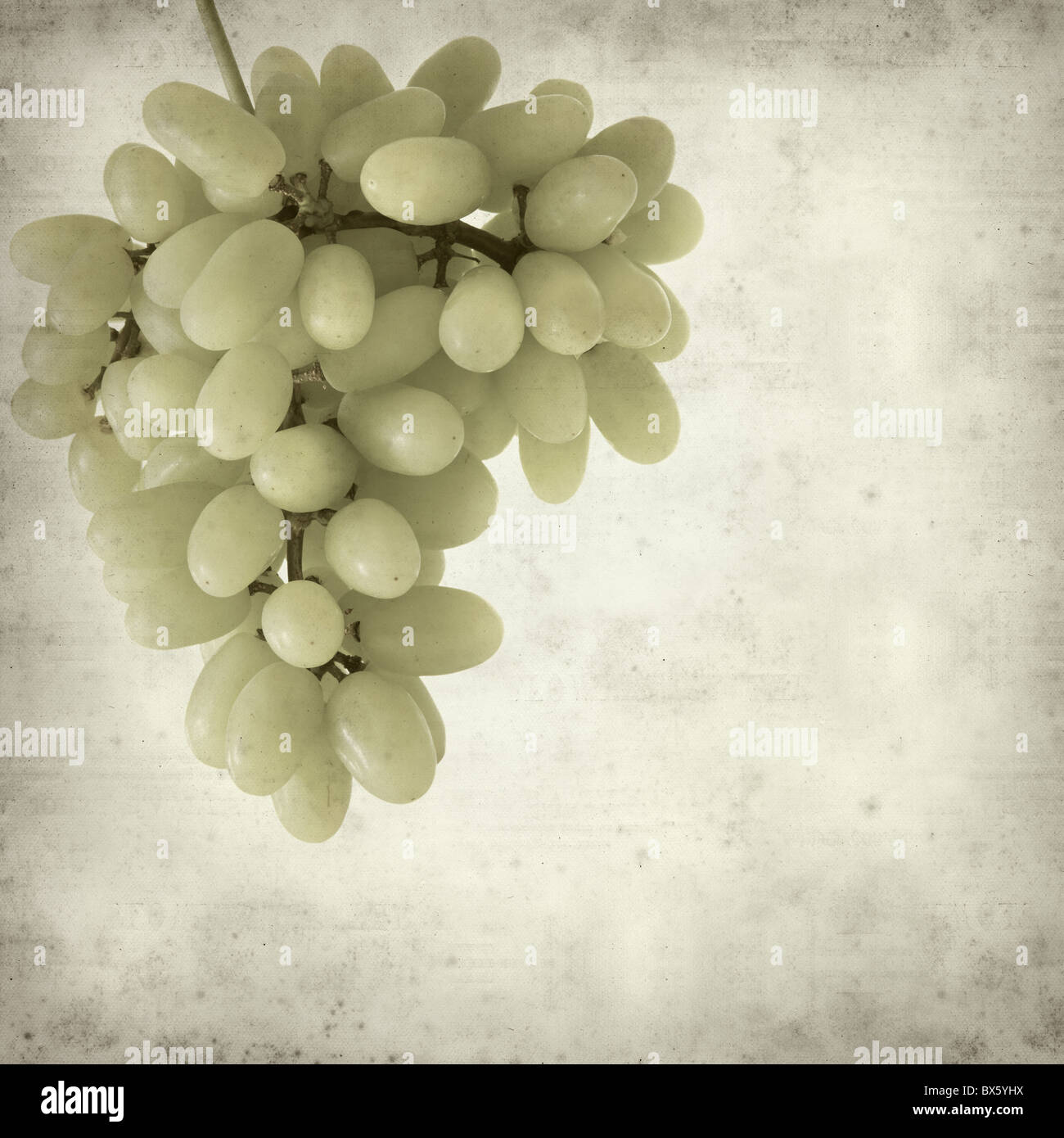 textured old paper background with bunch of green grapes Stock Photo ...