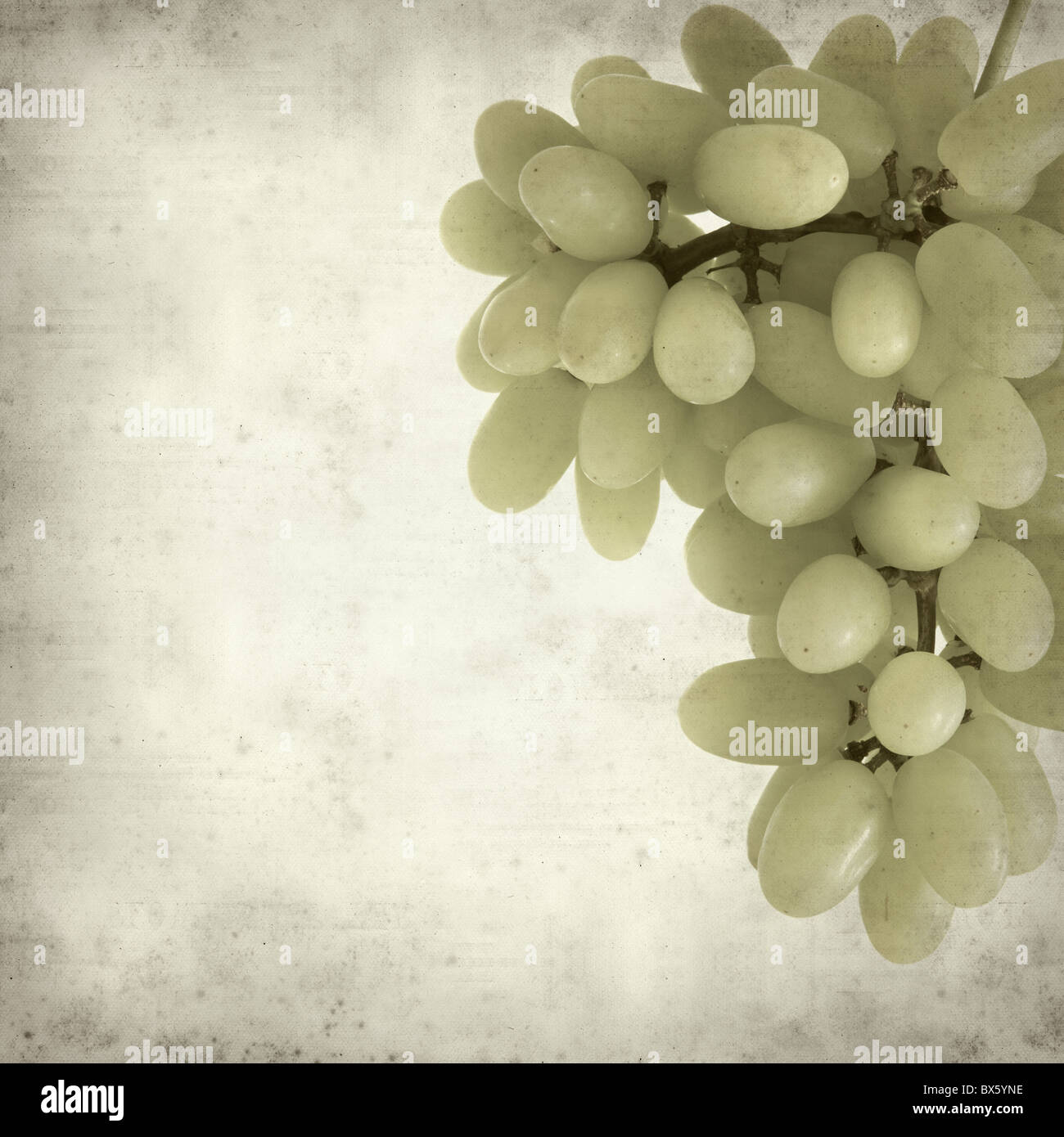 textured old paper background with bunch of green grapes Stock Photo ...