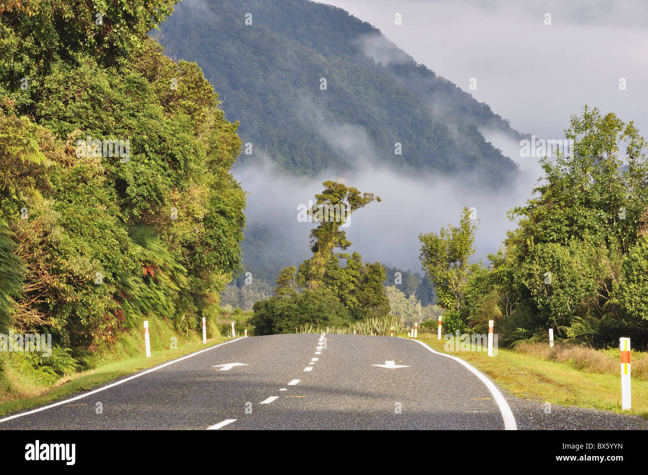 Haast Highway, West Coast, South Island, New Zealand, Pacific Stock ...