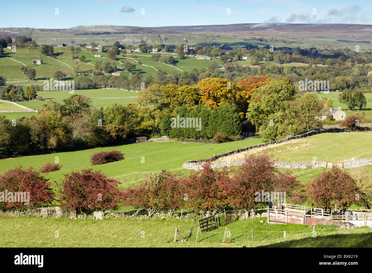 Late summer view across Bishopdale from West Burton in the Yorkshire ...