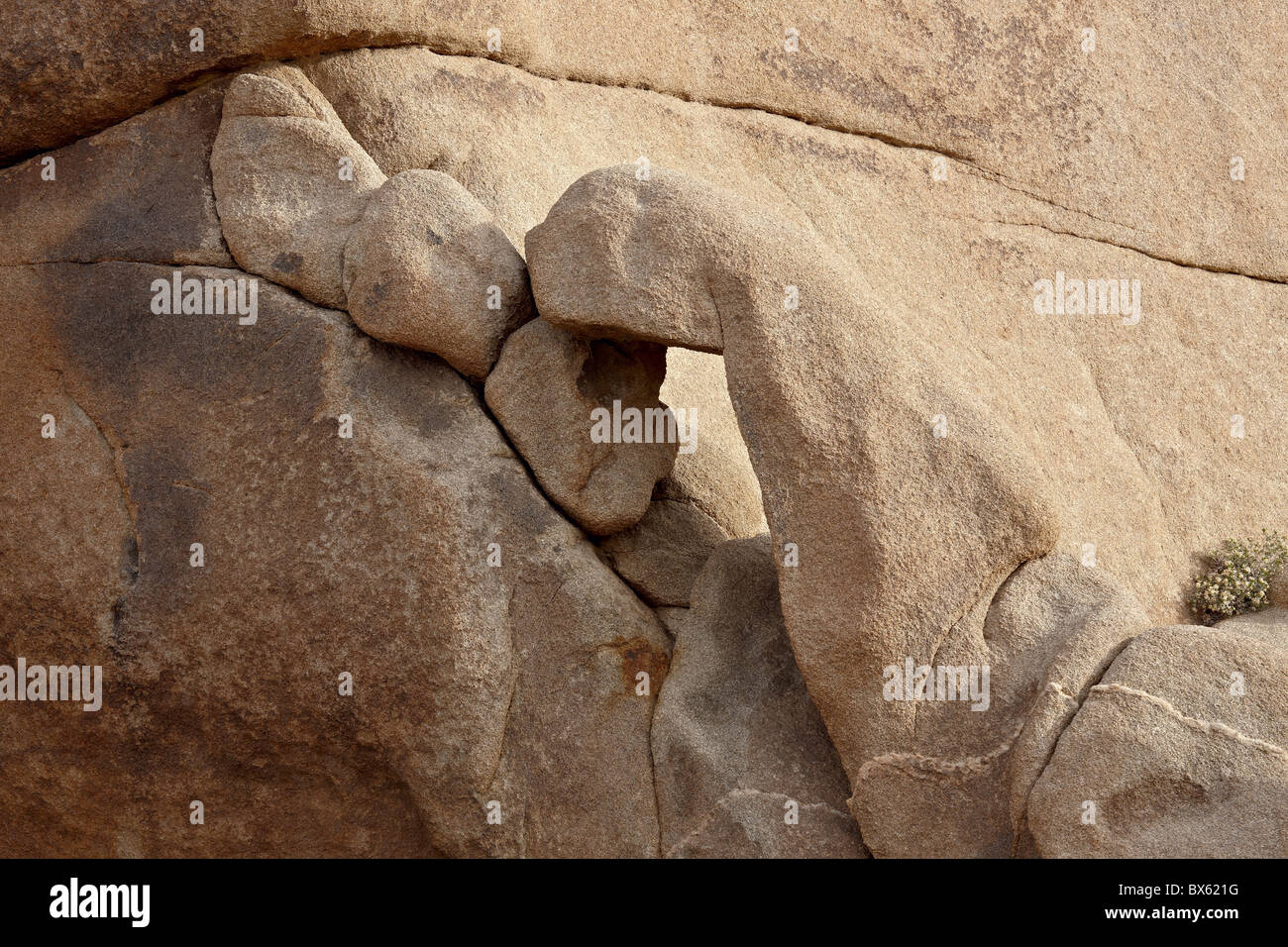 Small arch, Joshua Tree National Park, California, United States of ...