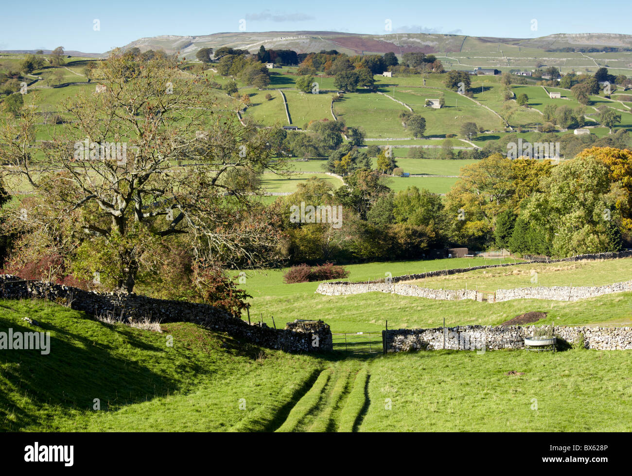 Late summer view across Bishopdale from West Burton in the Yorkshire ...