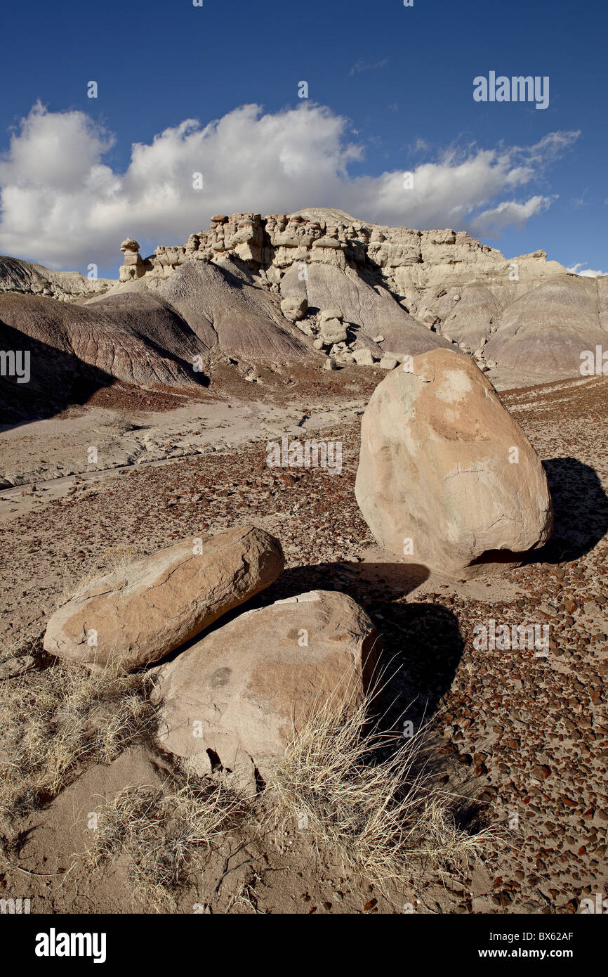 Boulders in the badlands, Petrified Forest National Park, Arizona ...