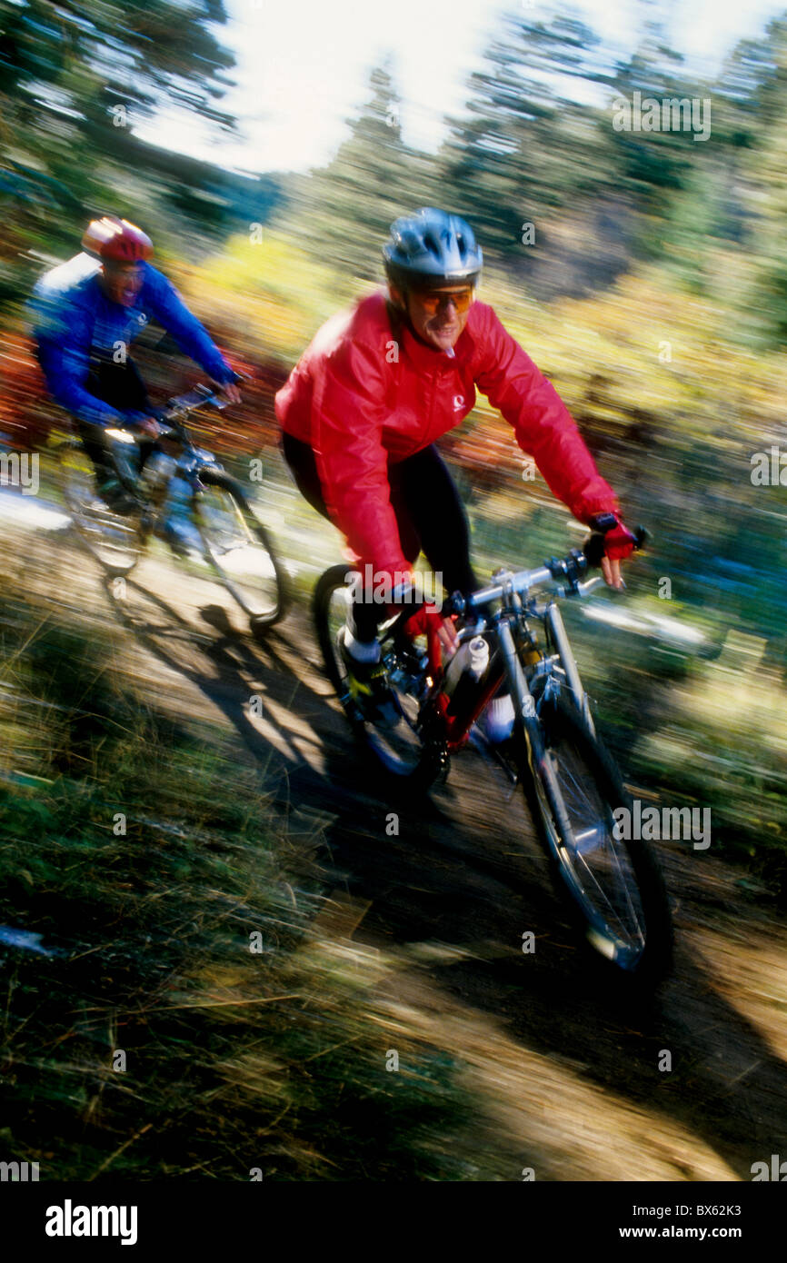 Recreational mountain biker riding on the trails Stock Photo - Alamy