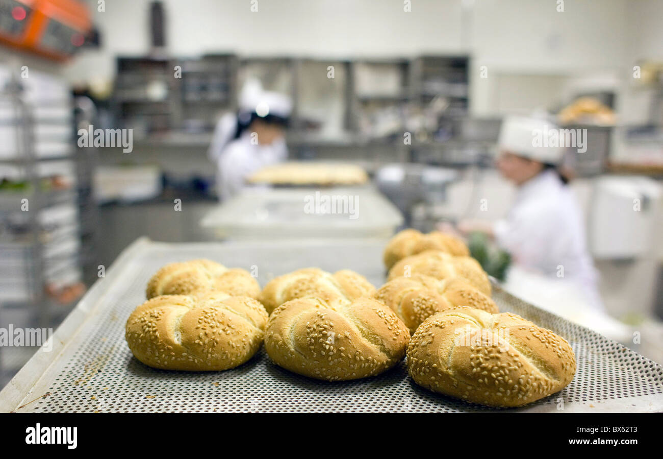 Kitchen in InterContinental hotel in Prague, on March 12, 2010. (CTK ...