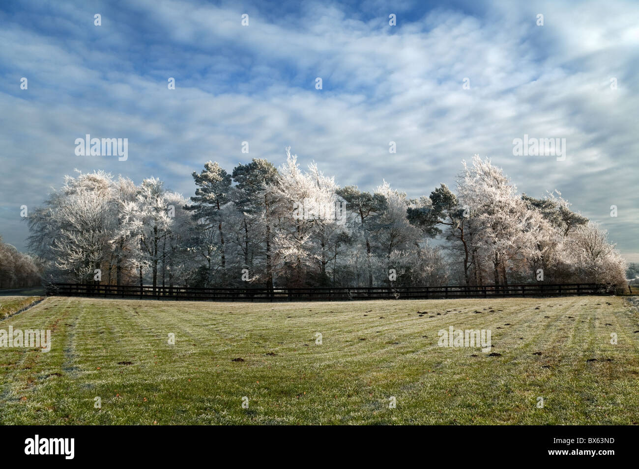 Frosty cold winter countryside landscape hi-res stock photography and ...