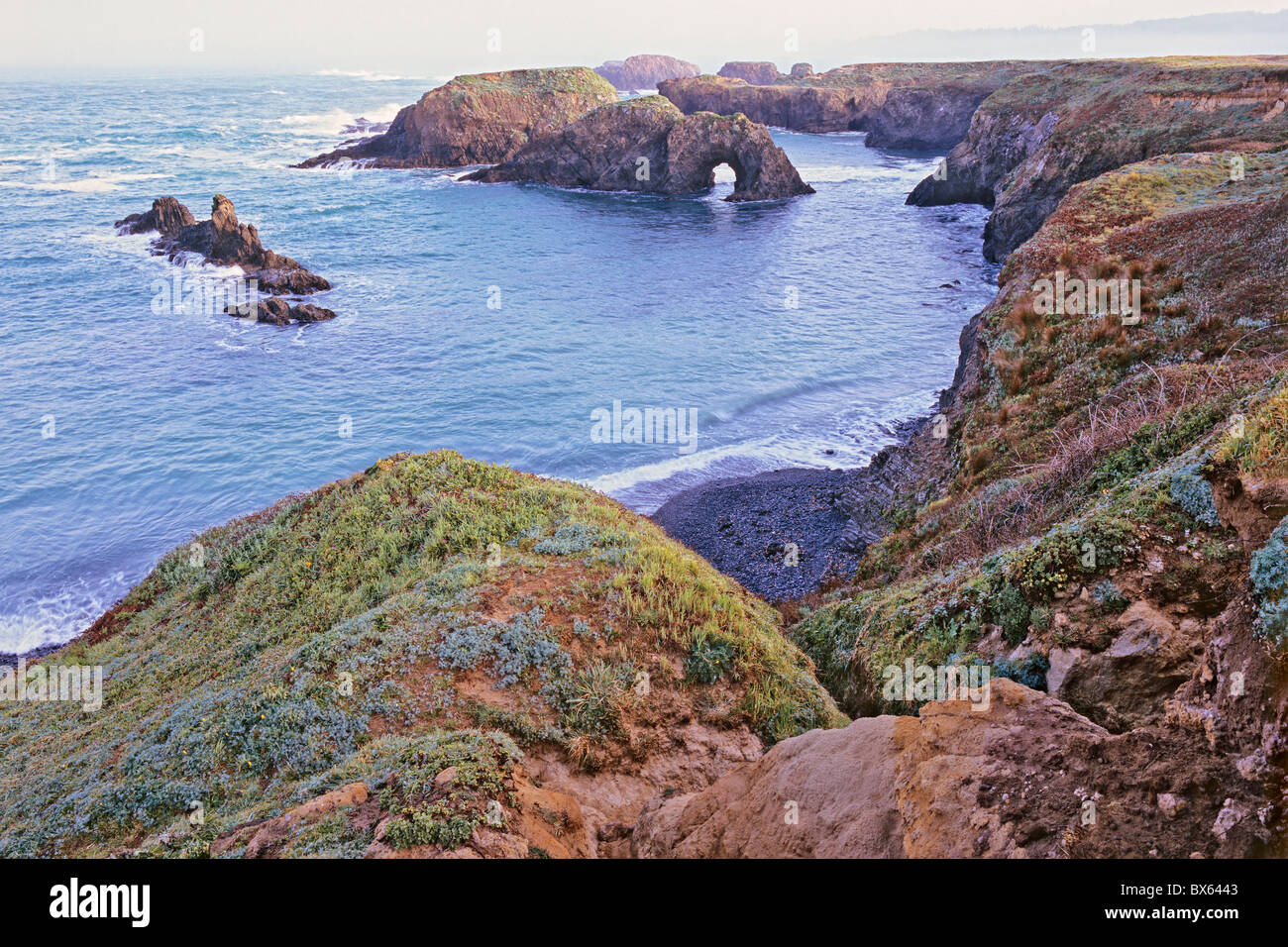 Mendocino headlands and sea arch at dawn, Mendocino Headlands State ...